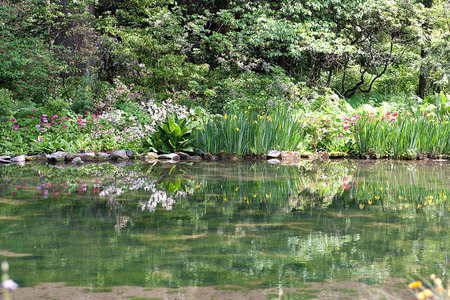 Robert Bruce McCaw Photography